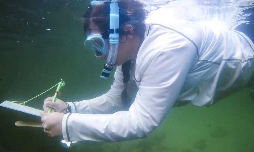 Marine Biology Degree